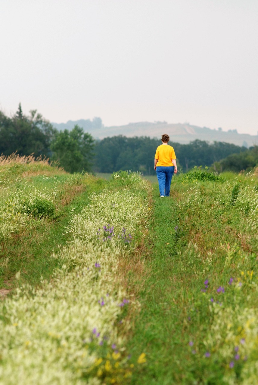 Fin d’année : un temps pour faire le point et penser à la suite de son projet entrepreneurial ...